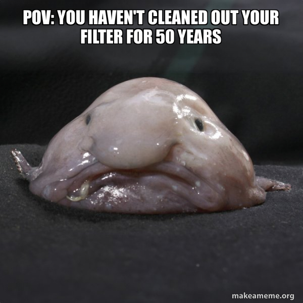 POV: you haven't cleaned out your filter for 50 years - Blobfish Meme ...