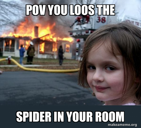 pov you loos the spider in your room - Disaster Girl Meme Generator