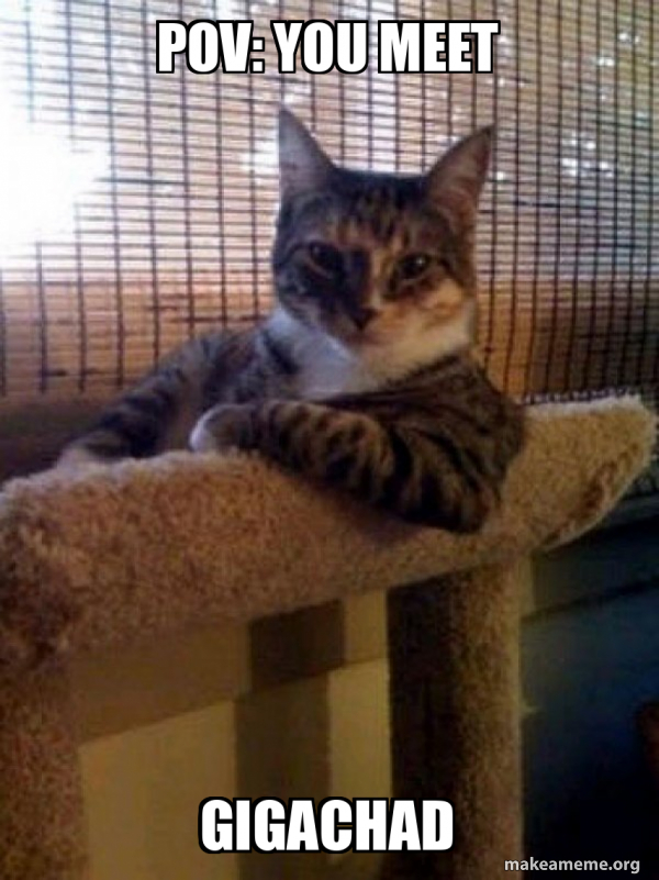 POV: you meet Gigachad - The Most Interesting Cat in the World Meme ...