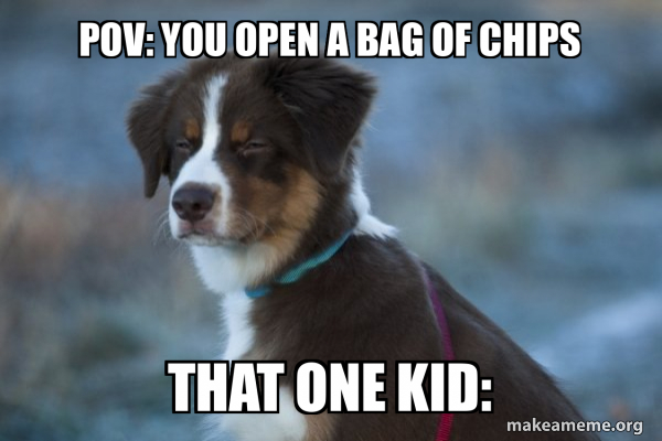 POV: you open a bag of chips That one kid: - Unsure Dog Meme Generator