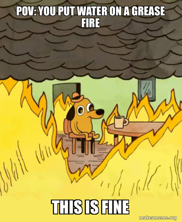 POV: you put water on a grease fire This is fine - This Is Fine Meme ...