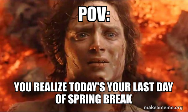 POV: You realize today's your last day of spring break - Frodo it's ...