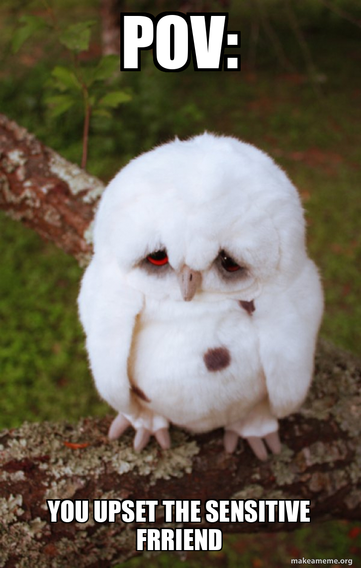 pov: you upset the sensitive frriend - Sad Owl Meme Generator