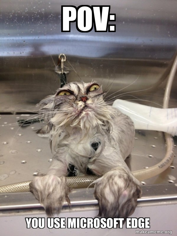 POV: You use Microsoft edge - Cat Bath Returns Meme Generator