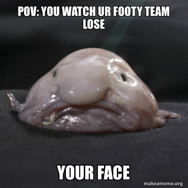 pov: you watch ur footy team lose your face - Blobfish Meme Generator