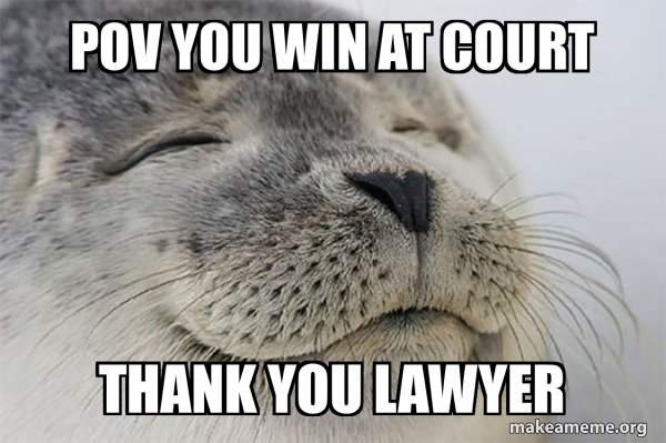 POV you win at court Thank you lawyer - Satisfied Seal Meme Generator
