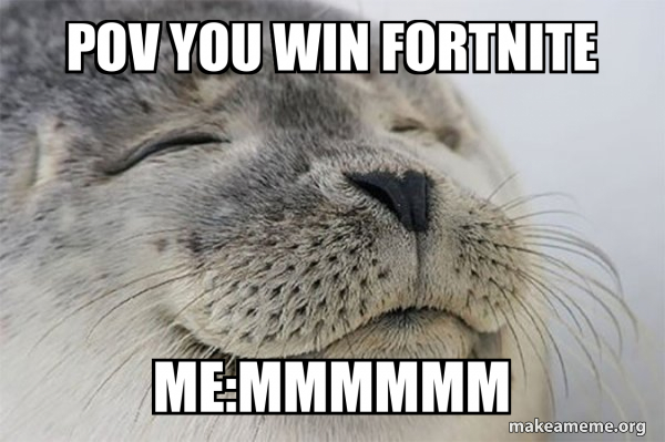 pov you win fortnite me:mmmmmm - Satisfied Seal Meme Generator