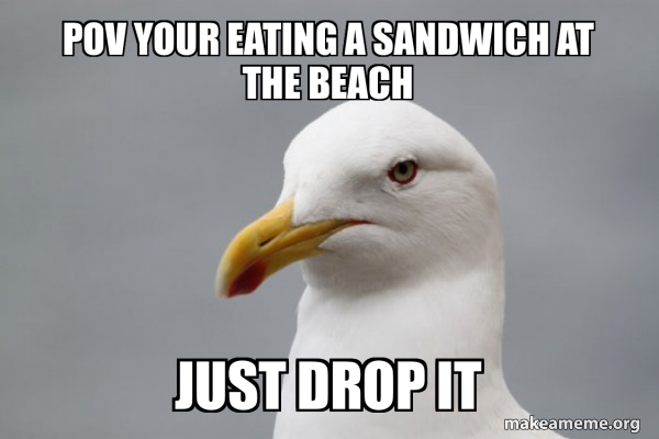 Pov your eating a sandwich at the beach Just drop it - Stuff That Didn ...