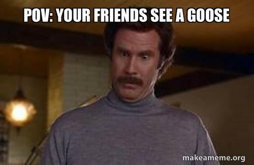 Pov Your Friends See A Goose Meme Generator