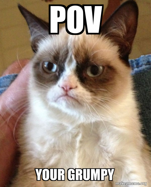 pov your grumpy - Grumpy Cat Meme Generator