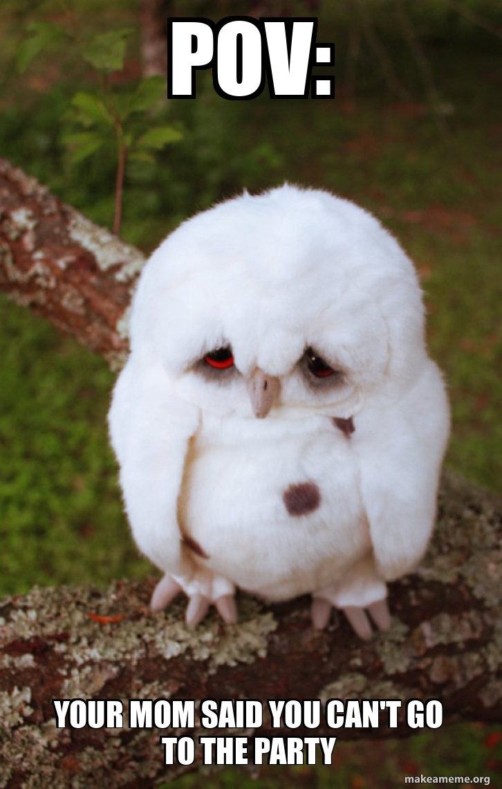 POV: Your mom said you can't go to the party - Sad Owl Meme Generator