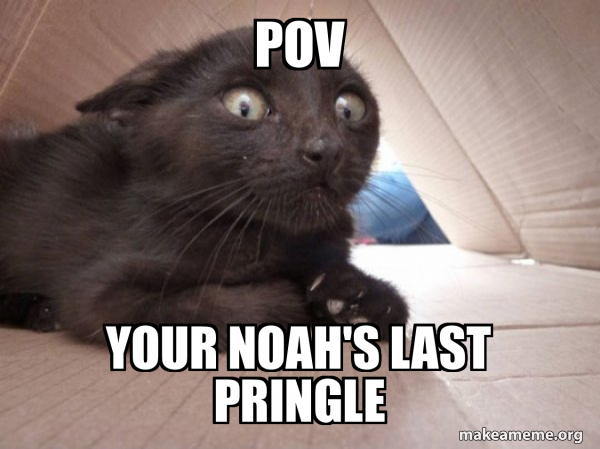 POV Your Noah's last Pringle - Schitzo Cat Meme Generator