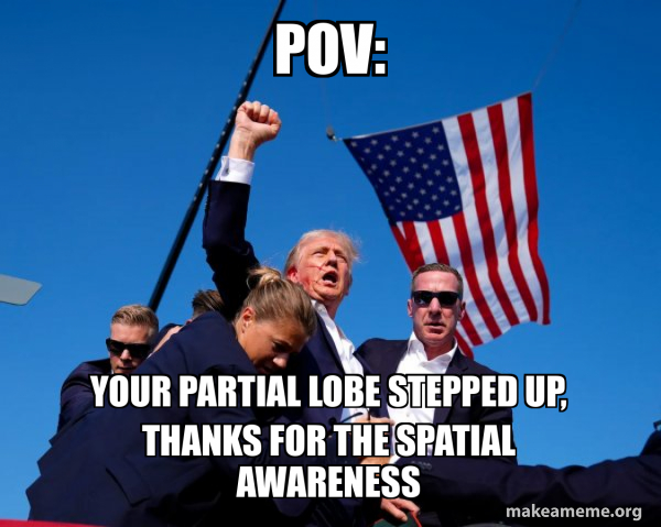POV: Your partial lobe stepped up, thanks for the spatial awareness ...