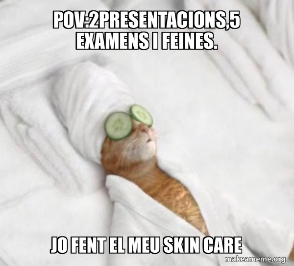 pov:2presentacions,5 examens i feines. Jo fent el meu skin care ...