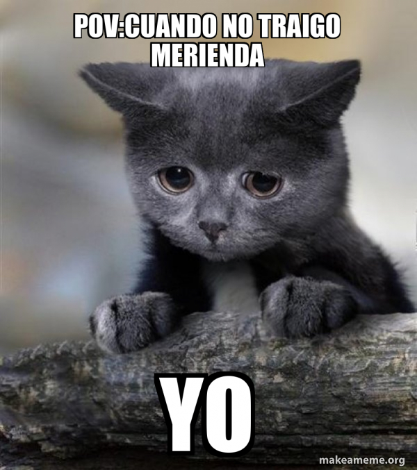 POV:Cuando no traigo merienda YO - Confession Cat Meme Generator