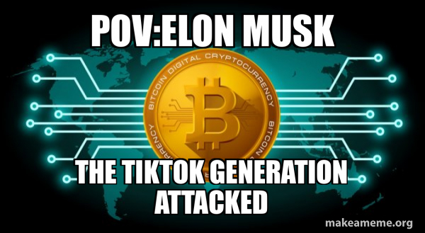 Pov:elon musk The tiktok generation attacked - Bitcoin Meme Generator
