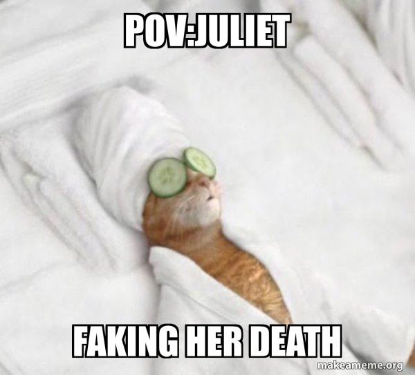 POV:Juliet Faking her death - Pampered Cat Meme Meme Generator