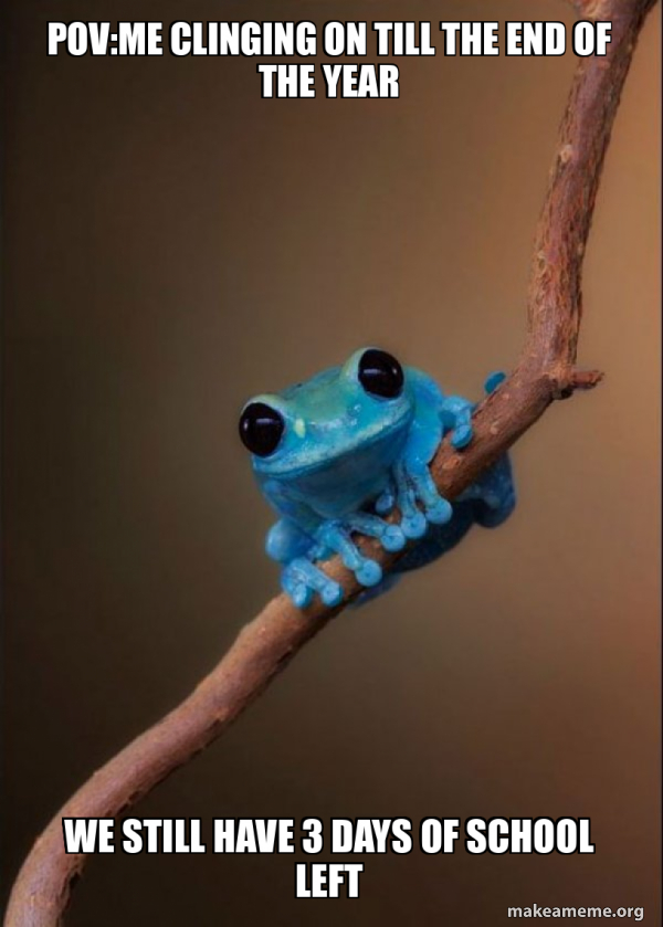 pov:me clinging on till the end of the year we still have 3 days of ...