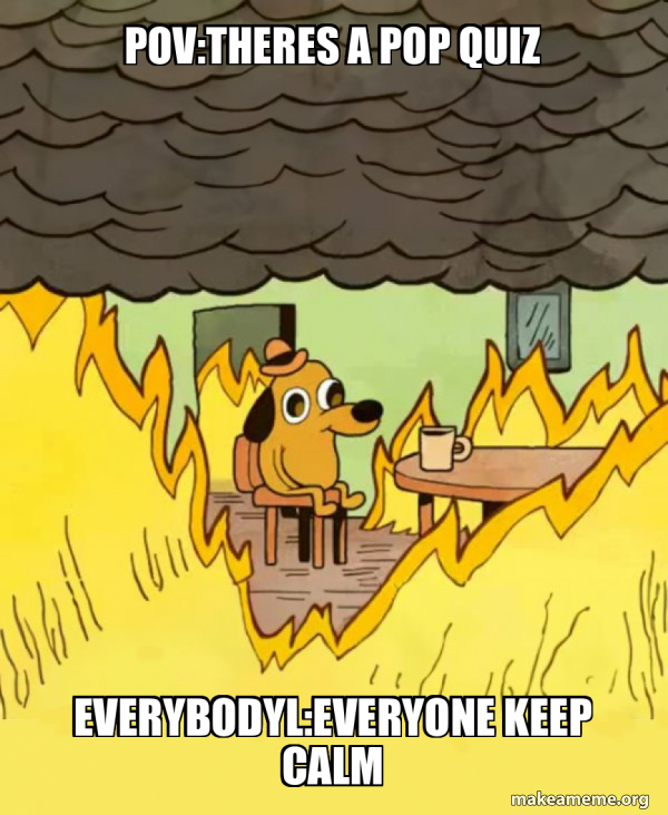 POV:THERES A POP QUIZ EVERYBODYL:EVERYONE KEEP CALM - This Is Fine Meme ...