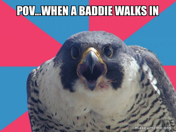 pov...when a baddie walks in - Millennial Falcon Meme Generator