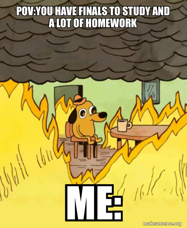 pov:you have finals to study and a lot of homework me: - This Is Fine ...