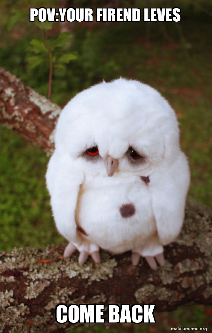 pov:your firend leves come back - Sad Owl Meme Generator