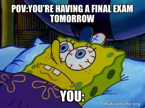 POV:you're having a final exam tomorrow you: Meme Generator