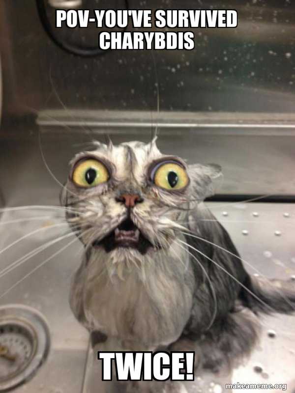 POV-You've survived Charybdis TWICE! - Cat bath Meme Generator