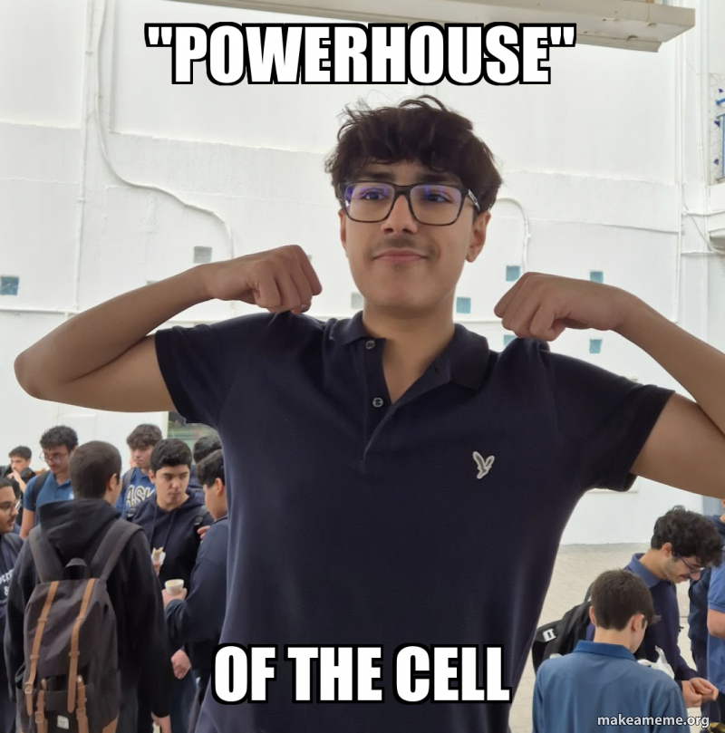 "Powerhouse" OF THE CELL Meme Generator