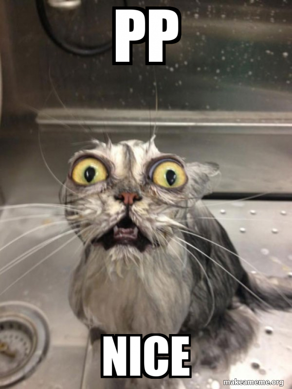 pp nice - Cat bath Meme Generator