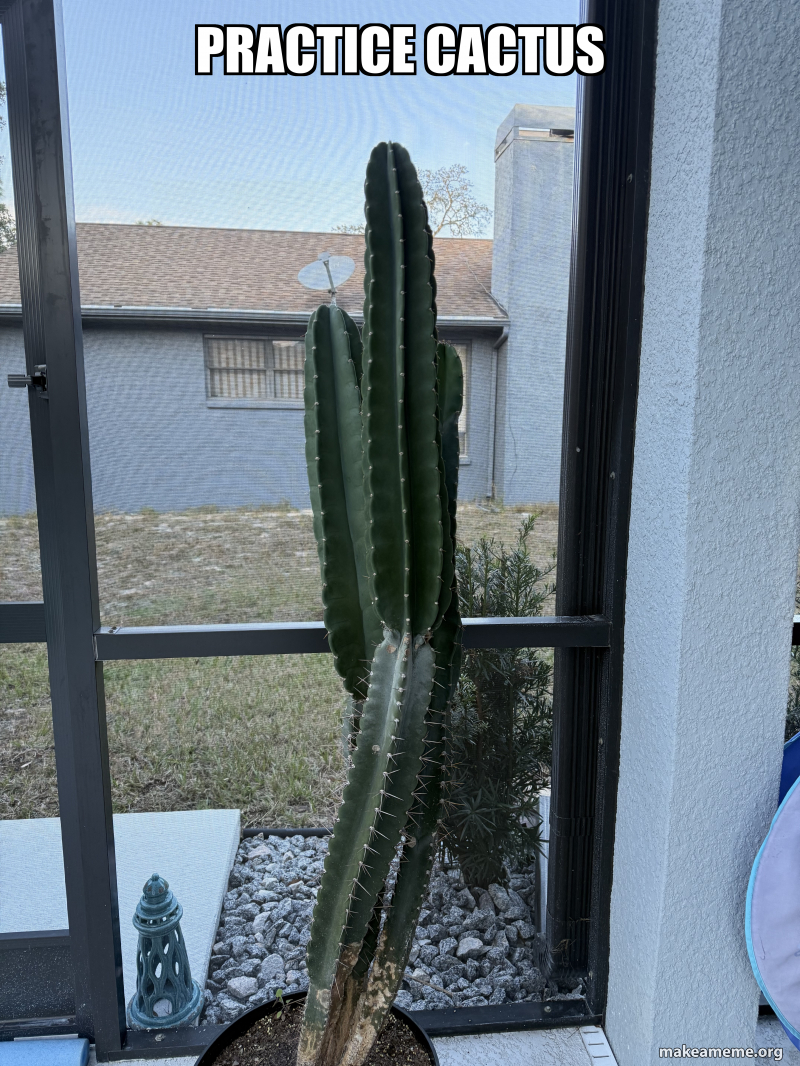 Practice cactus Meme Generator