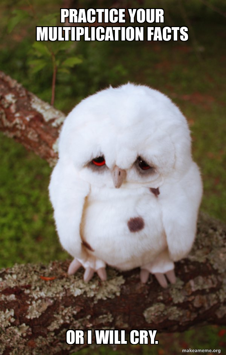 Practice your Multiplication facts or I will cry. - Sad Owl Meme Generator