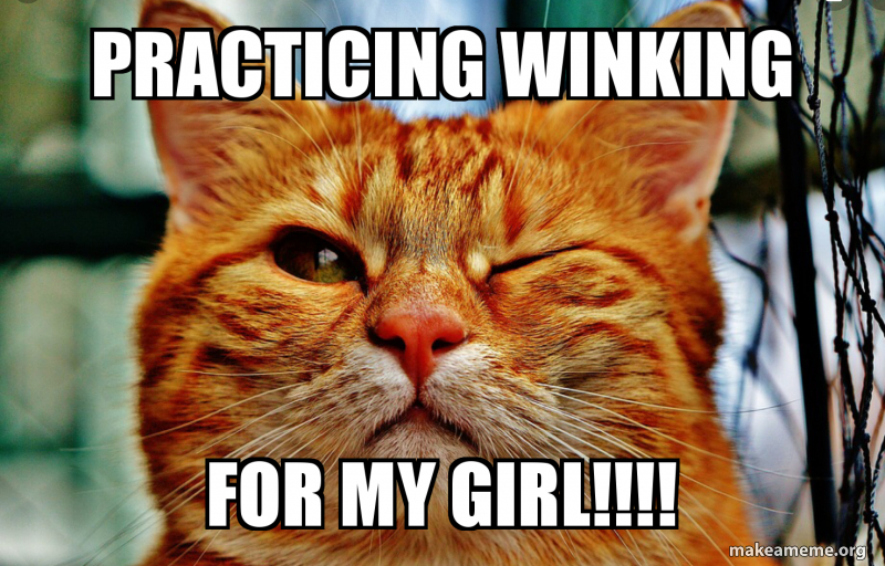Practicing winking For my girl!!!! Meme Generator