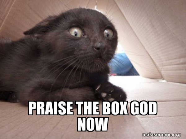 PRAISE THE BOX GOD NOW - Schitzo Cat Meme Generator