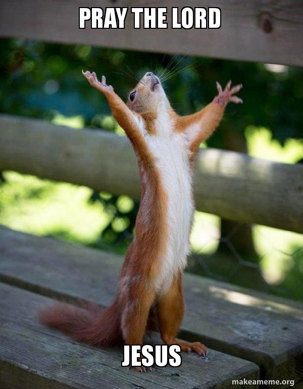 Pray the lord Jesus - Happy Squirrel Meme Generator