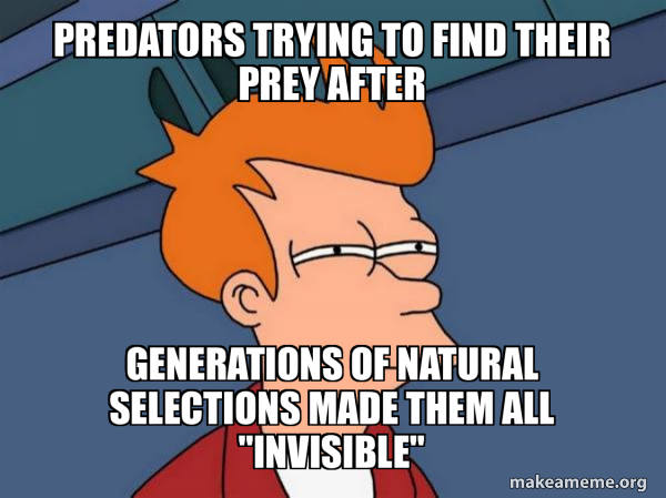 Predators trying to find their prey after generations of natural ...