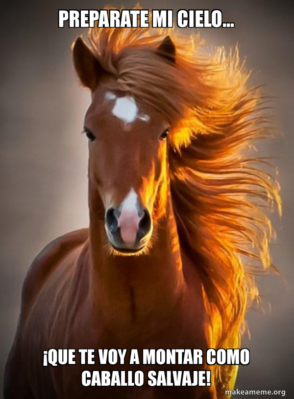 Preparate mi cielo... Â¡Que te voy a montar como caballo salvaje ...