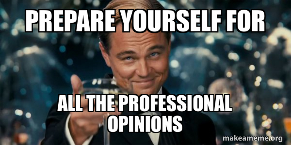 Prepare yourself for All the Professional opinions - Great Gatsby ...