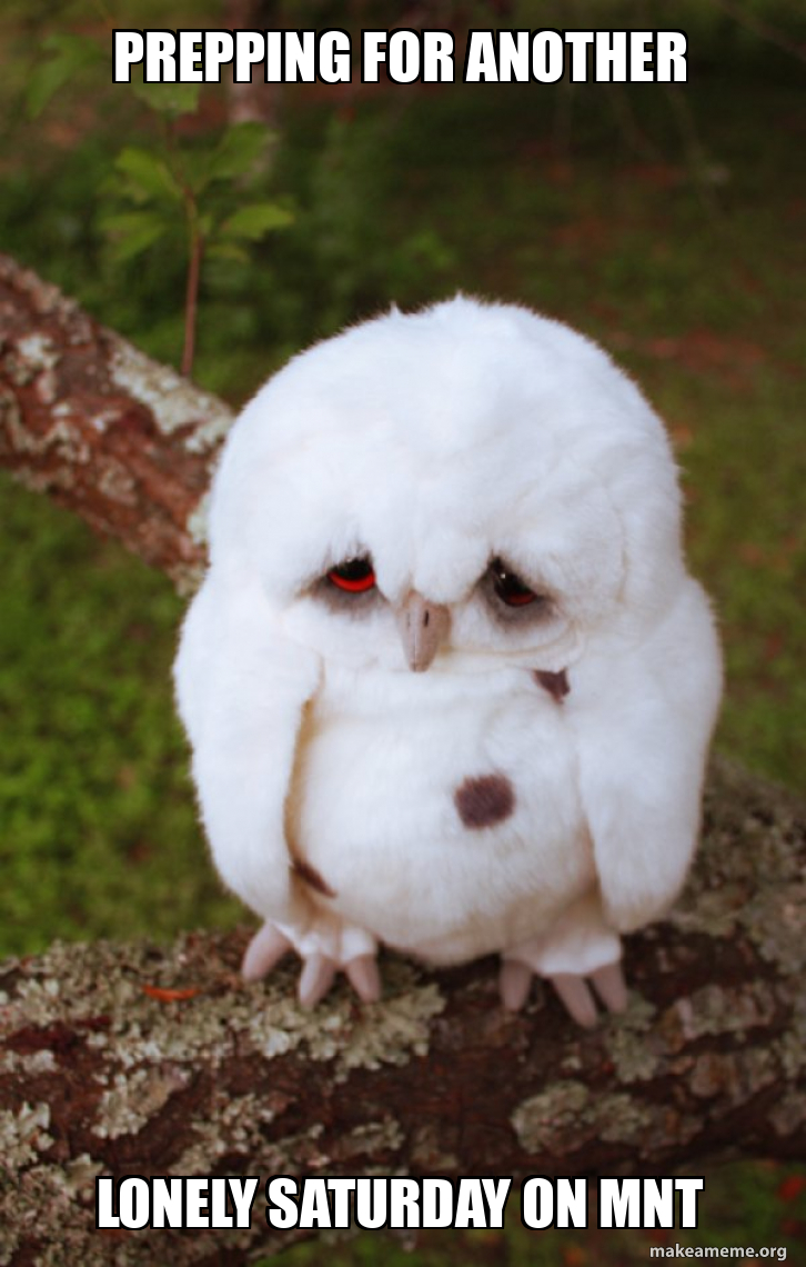 Prepping for another lonely Saturday on MnT - Sad Owl Meme Generator