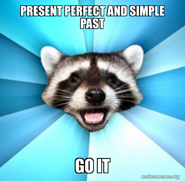 present perfect and simple past go it - Lame Pun Coon Meme Generator