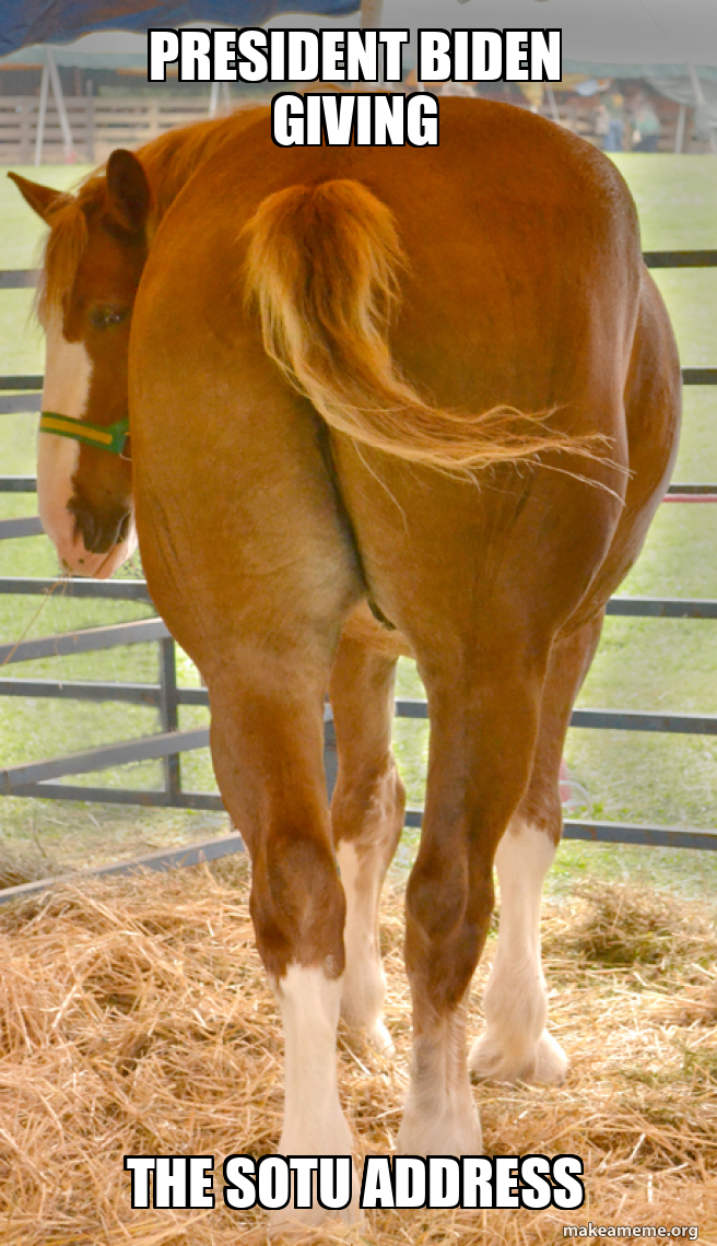 president biden giving the sotu address Meme Generator