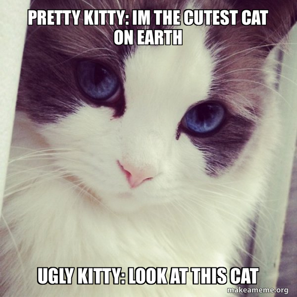 Pretty Kitty: Im the cutest cat on earth ugly kitty: look at this cat ...