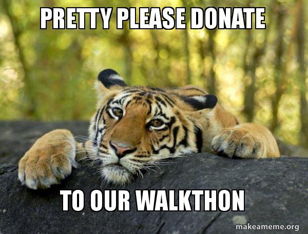 Pretty Please Donate to our WALKTHON - Confession Tiger Meme Generator