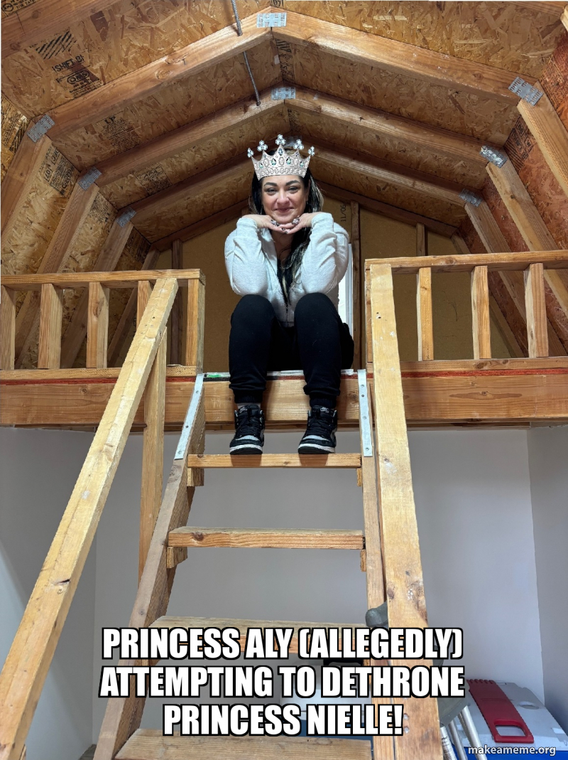 Princess Aly (allegedly) attempting to dethrone Princess Nielle! Meme ...