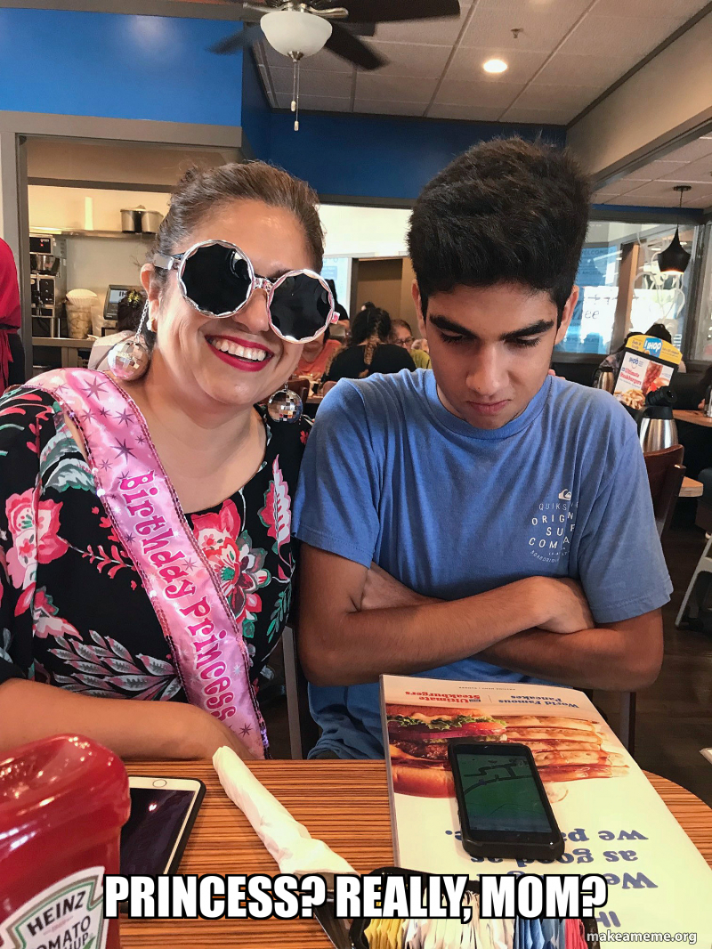 Princess? really, mom? Meme Generator