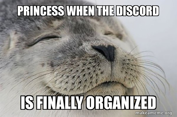 Princess when the discord is finally organized - Satisfied Seal Meme ...
