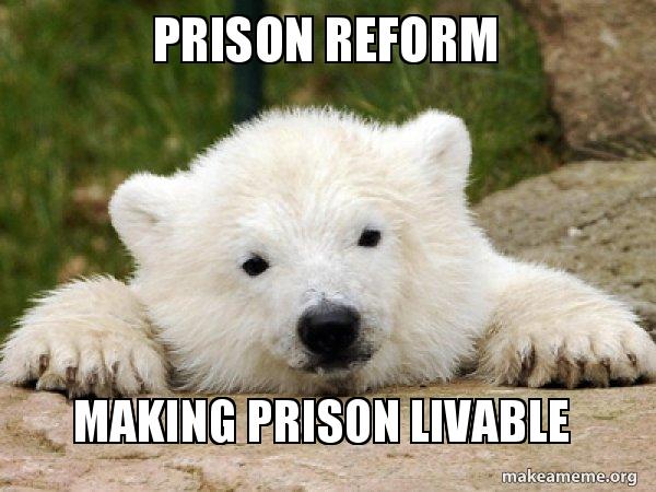 Prison Reform making prison livable - Popular Opinion Bear Meme Generator