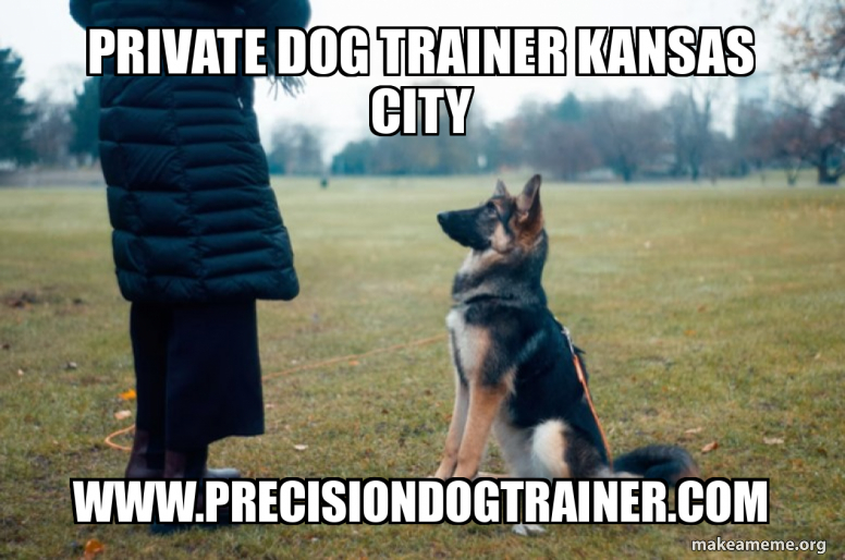 PRIVATE DOG TRAINER KANSAS CITY WWW.PRECISIONDOGTRAINER.COM - PRIVATE ...