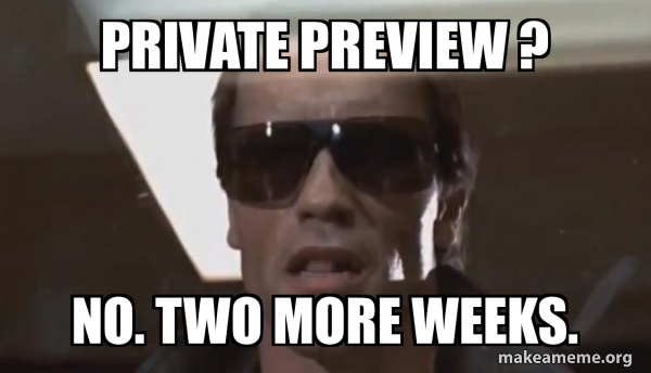 Private preview ? No. Two more weeks. - The Terminator Meme Generator