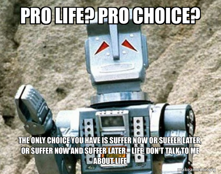 Pro life? Pro choice? the only choice you have is suffer now or suffer ...
